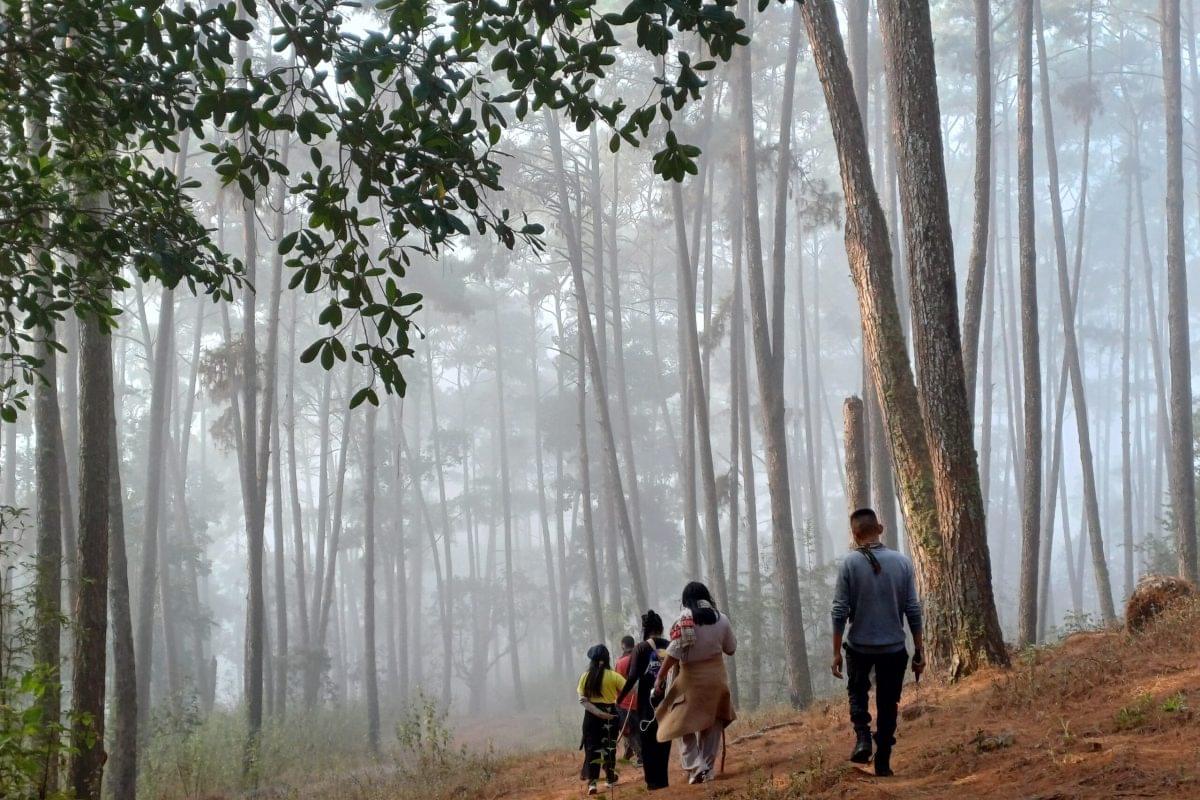 Home - Karbi Anglong Tourism